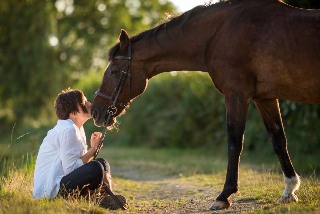 EQUESTER RIDES - Clubul Equester Iași