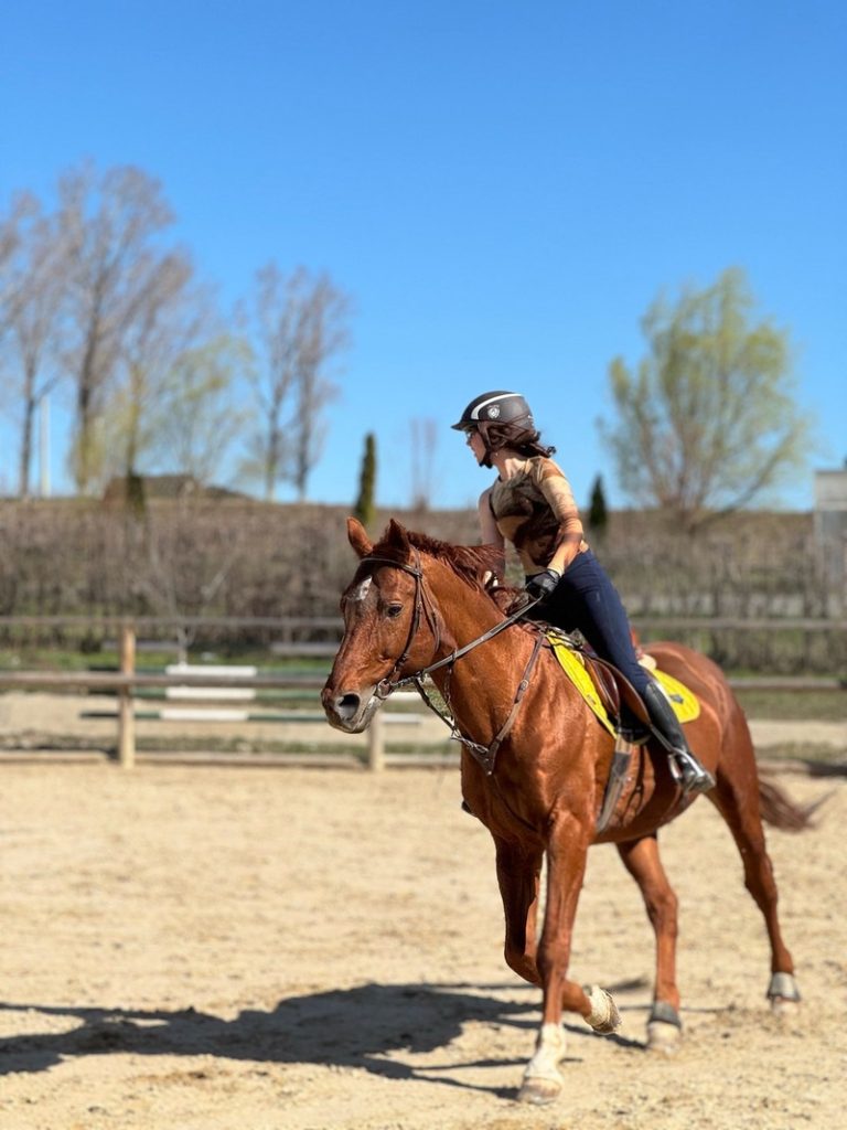 Informații și contact - Equester